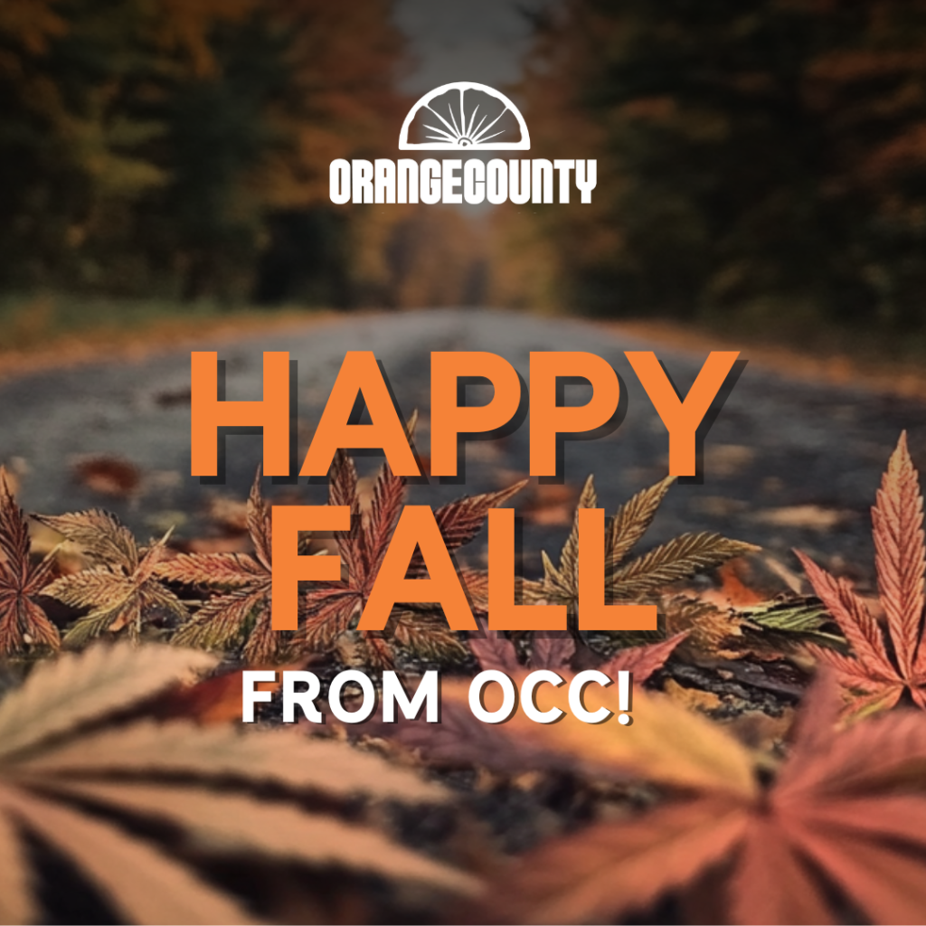 Fall Cannabis Products: Exploring Rich Flavors of Autumn - Orange ...